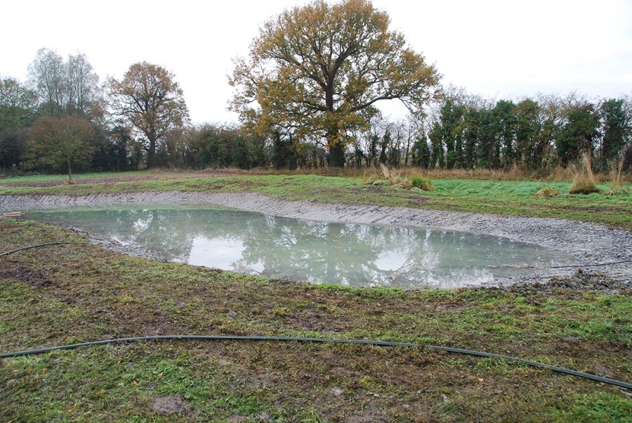 large pond created in field - Conservation Works